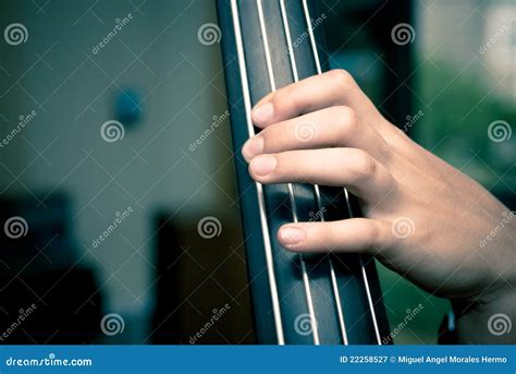 Contrabass Stock Image Image Of Strings Music Classical 22258527