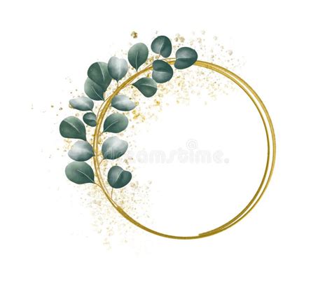 Sawed Eucalyptus Stock Illustrations 2 Sawed Eucalyptus Stock