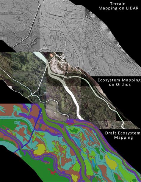 Classification Kootenay Conservation Program
