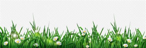 isolated green grass lawn border illustration 23161459 vector art at