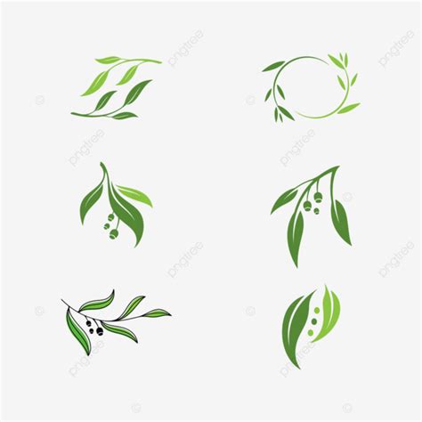 รูปแม่แบบการออกแบบภาพประกอบใบมะกอกเวกเตอร์ Png ไม้ ผัก ธงภาพ Png และ เวกเตอร์ สำหรับการดาวน์