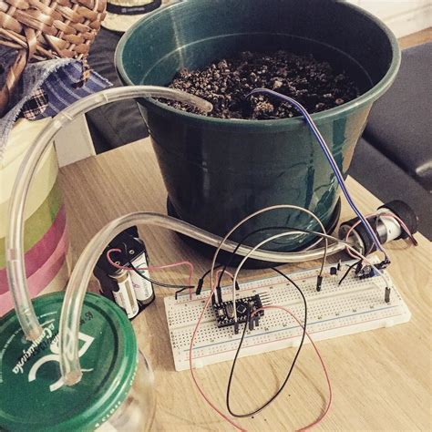 Testeando Riego Autom Tico Para Planta Peque A Va Bastante Bien