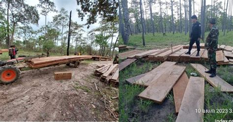 សមត្ថកិច្ច ចម្រុះ ខេត្ត ព្រះវិហារ រឹបអូស ឈើ បាន ជិត ១០ ម៉ែត្រ គូប ស្ថិត ក្នុង ទីតាំង ពីរ ផ្សេង