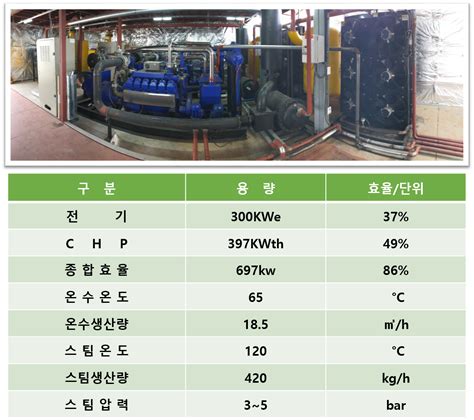 합성가스 엔진 발전기 Ecotrigen