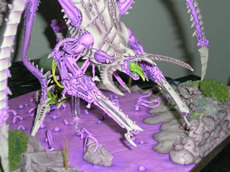 Nards Nids Articles Dakkadakka