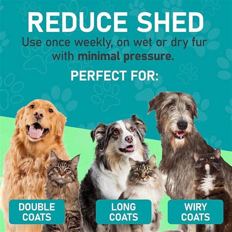 Best Brush For Golden Retriever 9 Trusted Picks