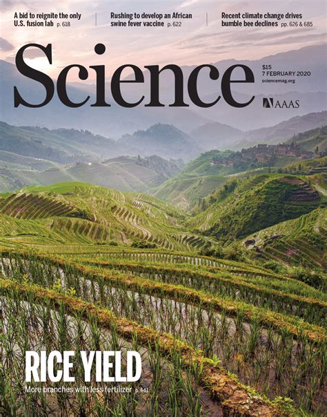 Co2 Electrolysis To Multicarbon Products At Activities Greater Than 1 A