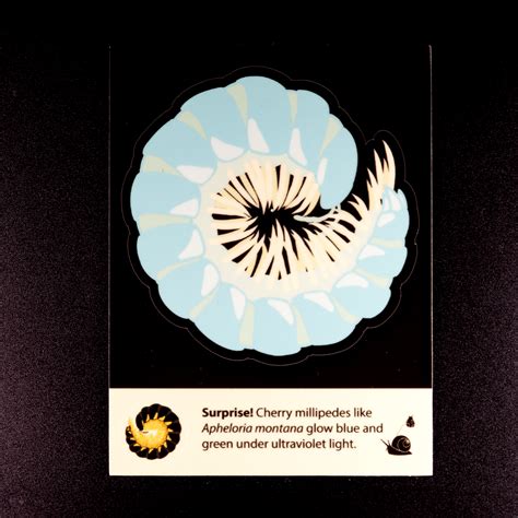 Cherry Millipede Sticker