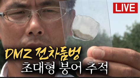 [다시 보는 Ftv 명작] 철원 Dmz 비무장지대 전차둠벙 초대형 붕어 추적 Youtube