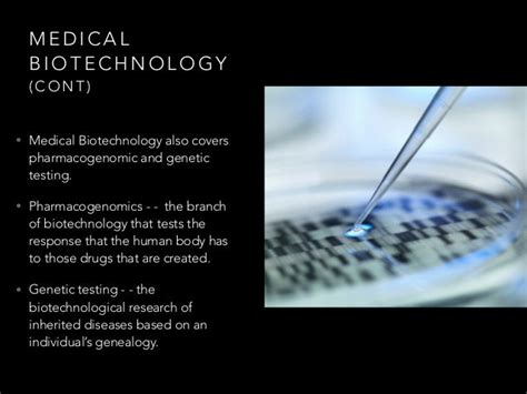 The Three Branches Of Biotechnology
