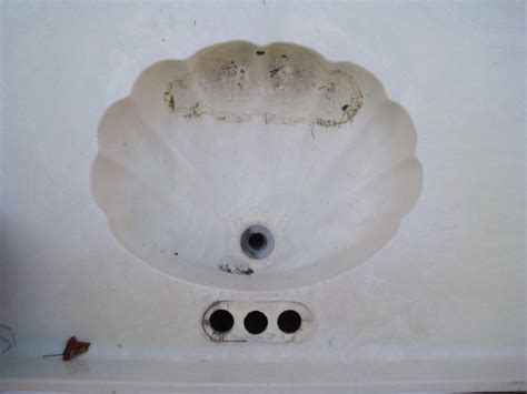 Any Ideas For A Sea Shell Shaped Bathroom Sink Vanity Hometalk