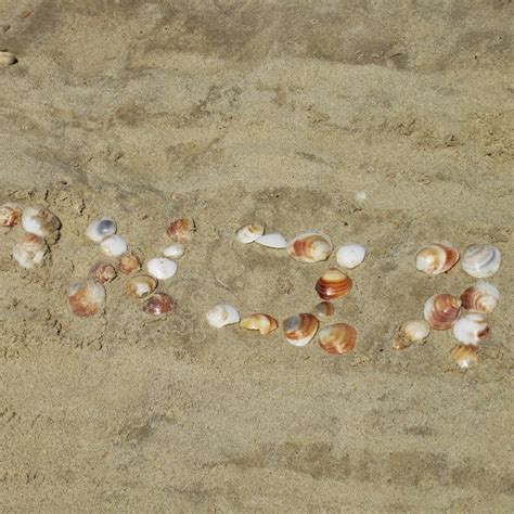 שחר גבאי Youtube