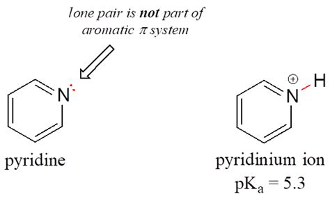 76 Acid Base Properties Of Nitrogen Containing Functional Groups