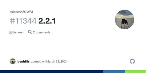 221 · Microsoft Wsl · Discussion 11344 · Github