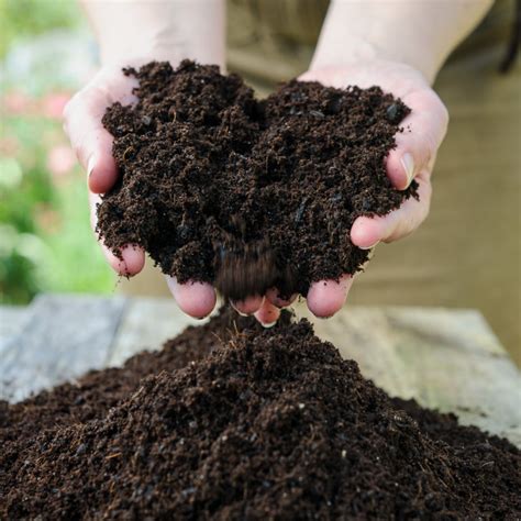Biochar Compost Made In Britain