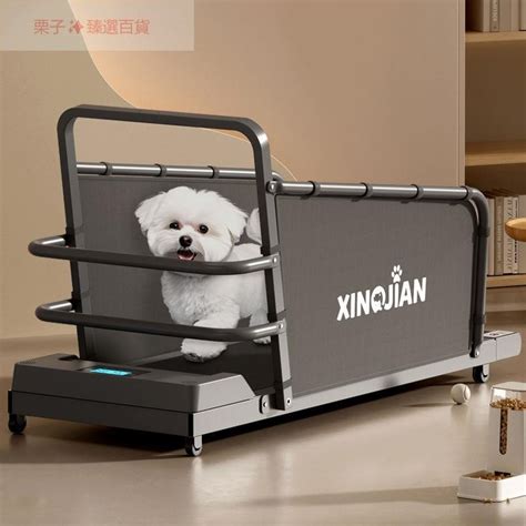 狗狗跑步機大中小型犬貓咪通用動物家用款運動訓練走步機寵物玩具 蝦皮購物