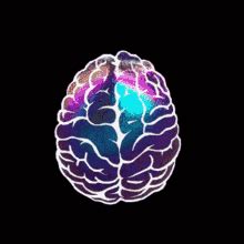 Dancando Cerebro  Brain Dancing S Tenor