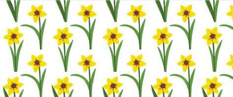 Daffodil Printable A4 Repeat Pattern Printable Early Years Resources