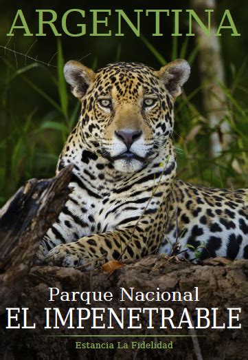 Argentina A Descubrir El Chaco Profundo Quedó Abierto El Nuevo Parque Nacional El Impenetrable