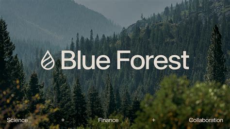 The Science Of Forest Management Blue Forest