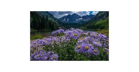 Dorothy G Alberto Obituary 2025 Watertown Ma Devito Funeral Home