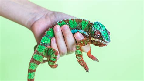 Das Steckt Hinter Dem Kurssprung Der Suse Aktie