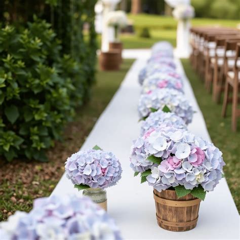 Order Hydrangeas Wedding