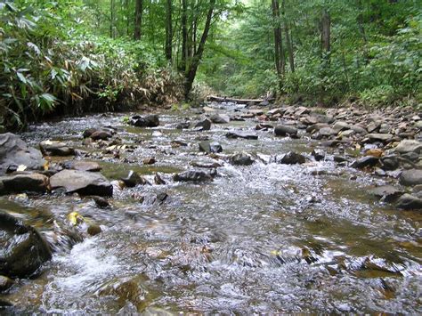 元沢木川とピヤシリ川の釣り ヤマメ山荘 楽天ブログ