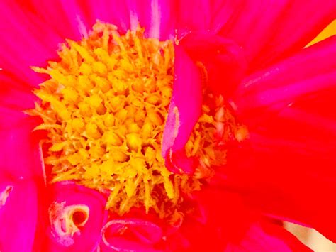 Photography Noah Wunsch