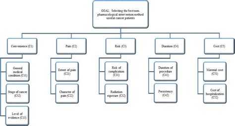 Hierarchical Organization Of The Decision Making Criteria Download
