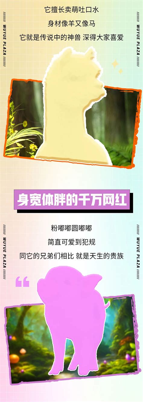 仙桃吾悦营销中心大型杂技萌宠嘉年华即将来袭仙桃房网