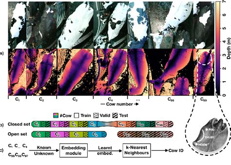 Universal Bovine Identification Via Depth Data And Deep Metric Learning