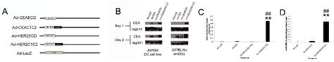 Figure 1 From Increasing Vaccine Potency Through Exosome Antigen Targeting Semantic Scholar