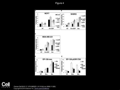 Modulation Of The Vitamin D3 Response By Cancer Associated Mutant P53