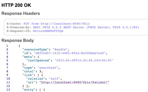 Manage Fhir Resources Using Fhir Engine Library Open Health Stack