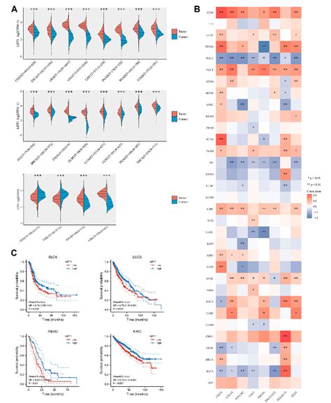 Figure 1 From Comprehensive Analysis Of Cuproptosis Related Genes In