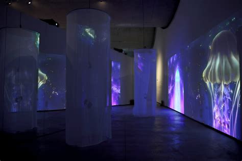 “我想看见‘你的看见”：创造富有情感温度的“赛博空间” 展览 新闻 中央美术学院艺术资讯网 Cafa Art Info