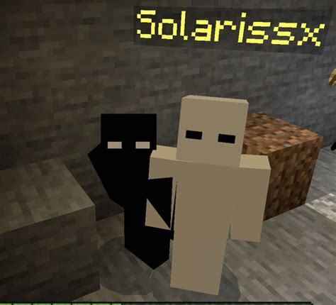Null And Anti Null Minecraft Minecraft Wallpaper Minecraft Country Art