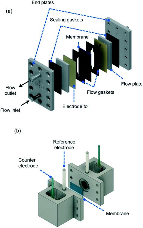 Micro Flow Chamber Cell At Geraldine Raposo Blog