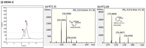 Isolation And Genomic Analysis Of 3 Chlorobenzoate Degrading Bacteria