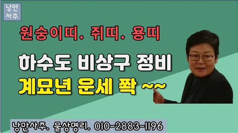 원숭이띠 쥐띠 용띠 계묘년 운세 개운법 Youtube