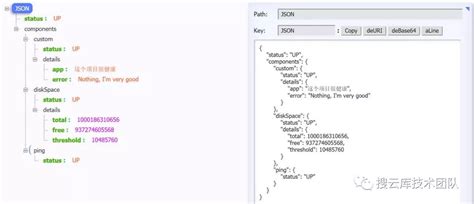 Spring Boot 服务监控，健康检查，线程信息，jvm堆信息，指标收集，运行情况监控等！ 腾讯云开发者社区 腾讯云