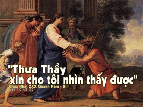 CHIA SẺ TIN MỪNG XIN CHO TÔI NHÌN THẤY SUY NIỆM CN XXX TN B 25 10 2015