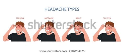 Headache Types Headaches Areas Infographic Diagram Stock Vector