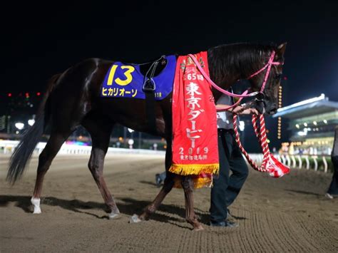 【川崎・戸塚記念】昨年からsiに格上げ、東京ダービー馬ヒカリオーソ含む14頭出走地方競馬見どころ 競馬ニュース Netkeiba