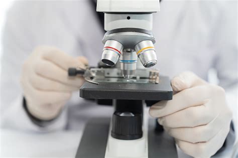 실험실에서 분석 및 테스트 샘플을 수행하는 현미경으로 작업하는 과학자의 손 박테리아에 대한 스톡 사진 및 기타 이미지