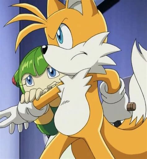 Pin On Tails ⋆｡˚