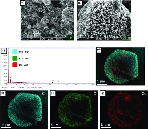 A B Sem Images At Different Magnifications And C−g Elemental