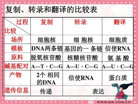 第2节 基因对性状的控制 上课 word文档在线阅读与下载 无忧文档