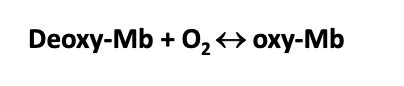 Transport Of Oxygen By Haemoglobin Part Myoglobin And Haemoglobin